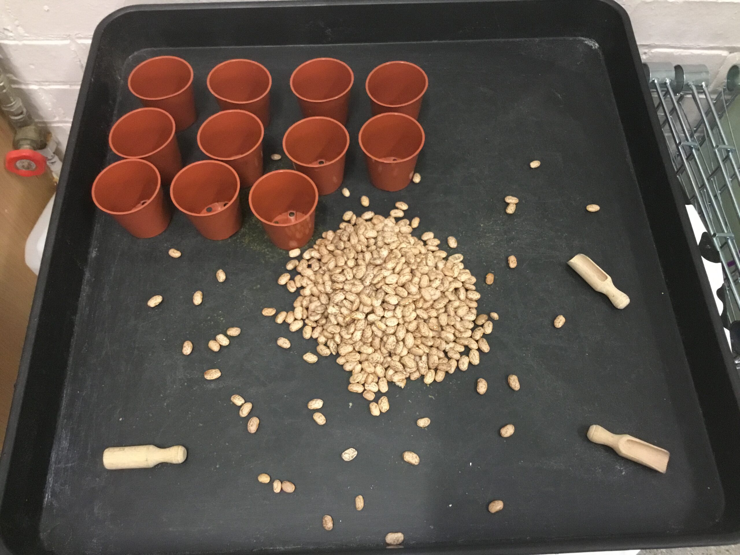 Nursery and EYFS - Richmond Methodist School